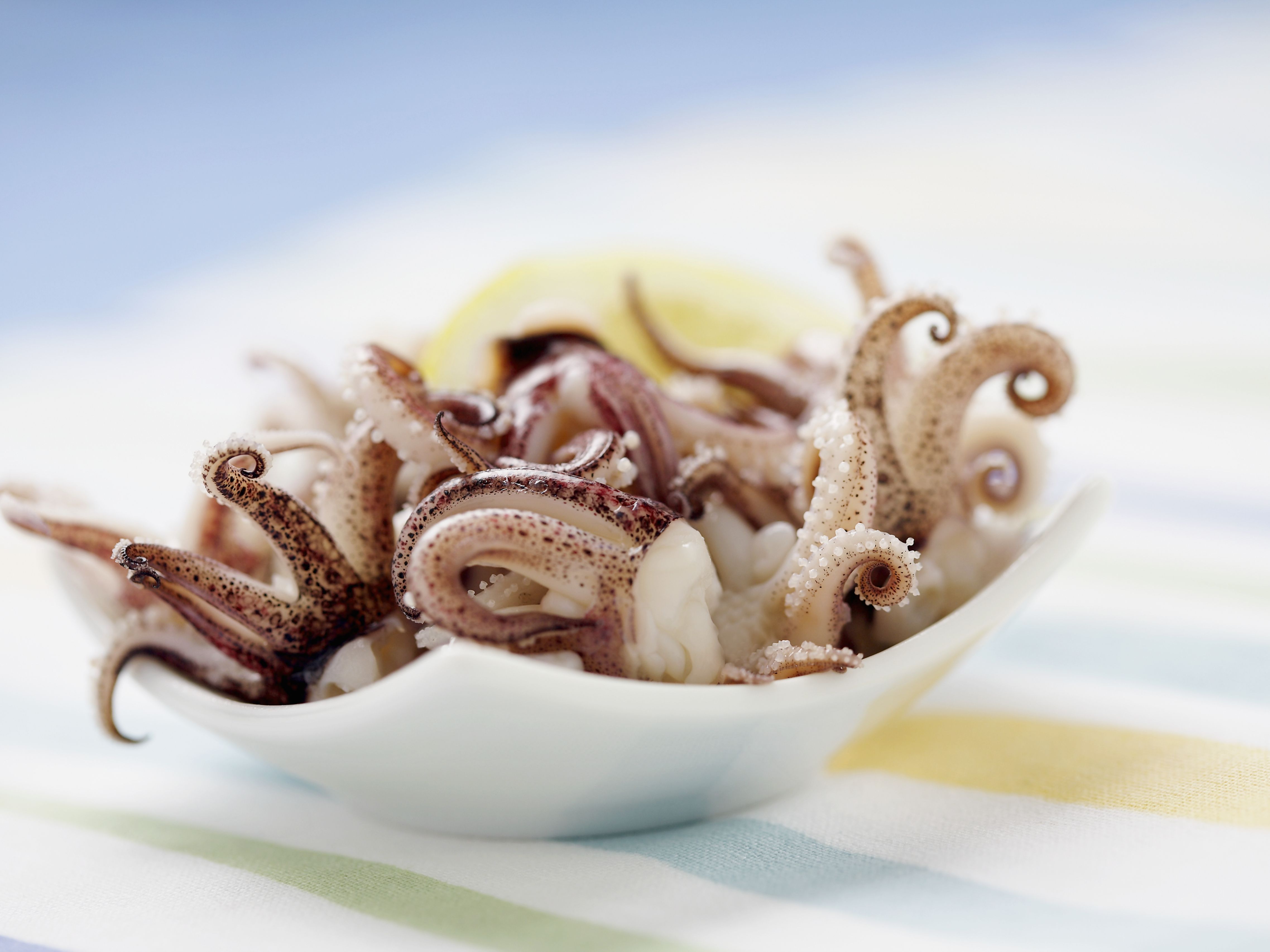 Can squid be cooked from frozen?