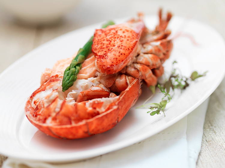 Can steamed lobster be reheated?