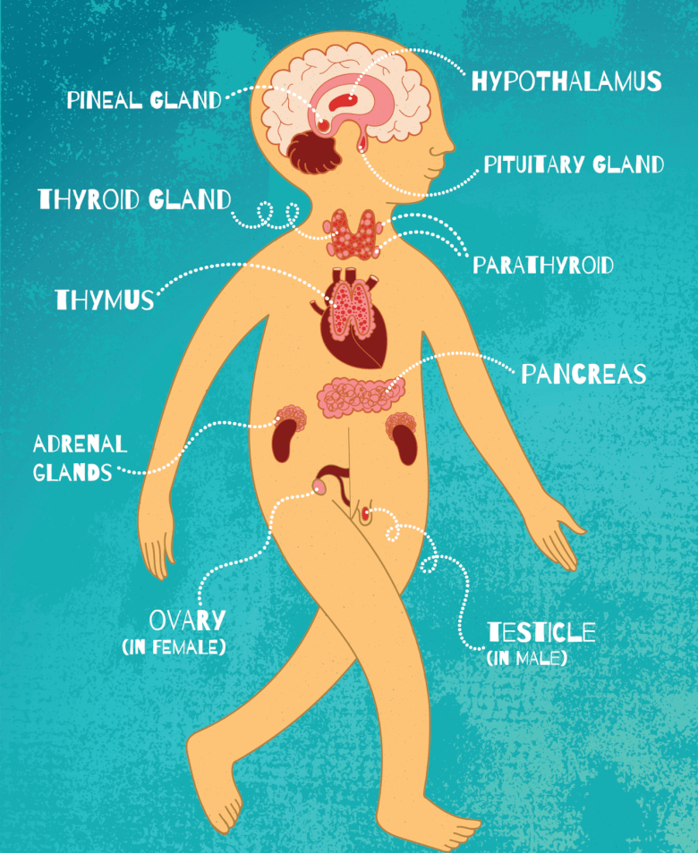 Can stress bring on hypothyroidism?