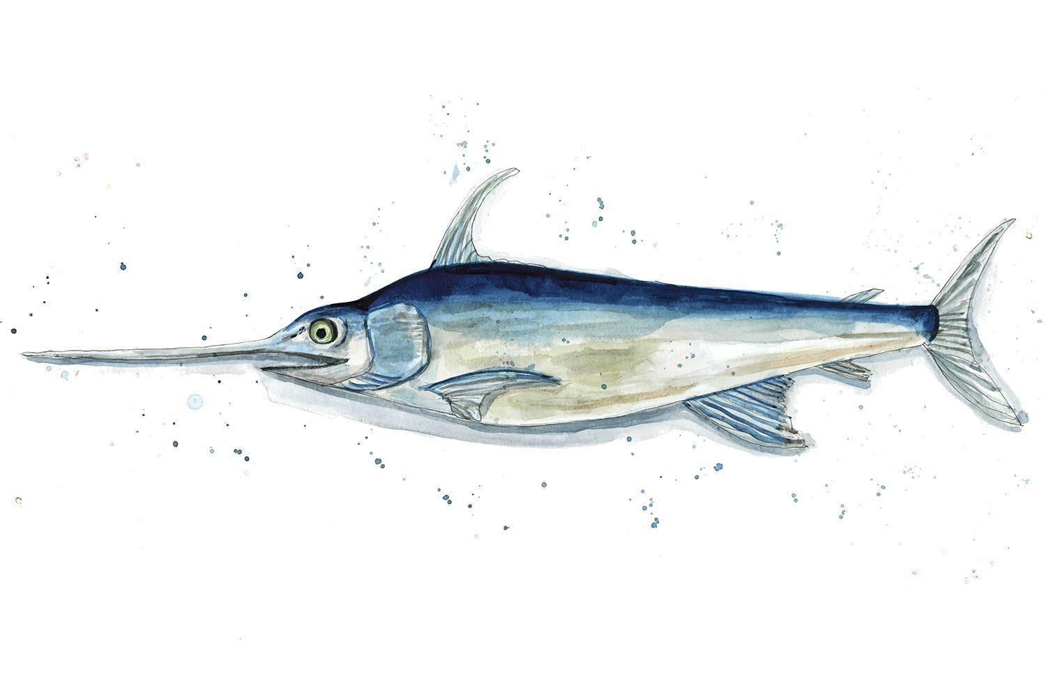 Can swordfish be eaten rare?