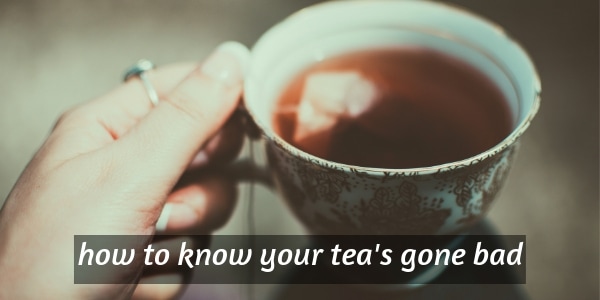 Can tea go bad and make you sick?