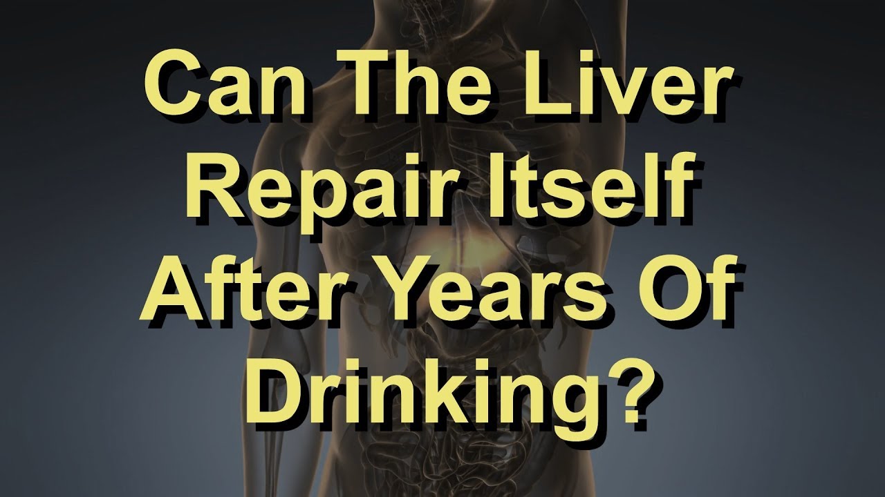 Can the liver repair itself after years of drinking?