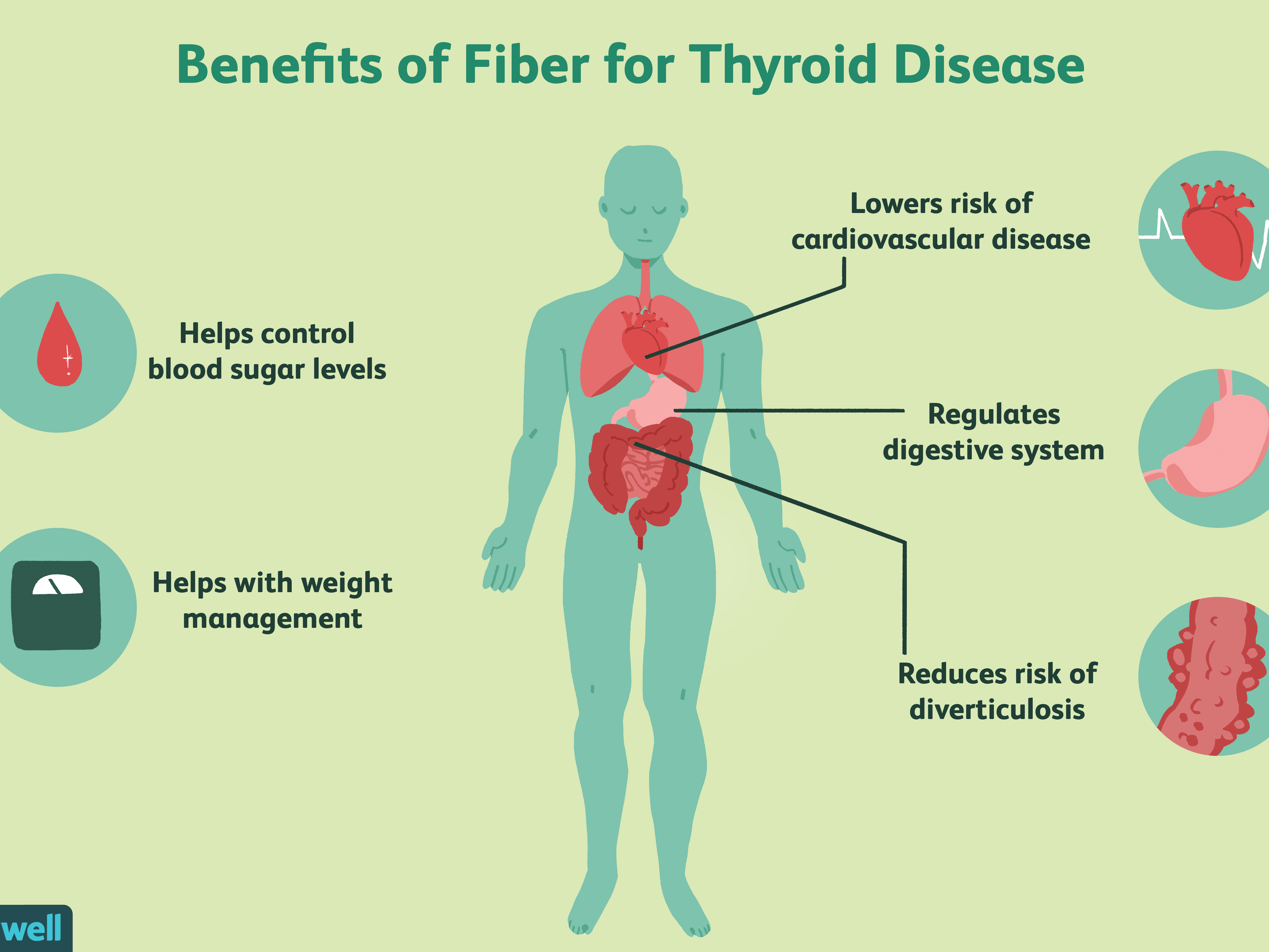 Can too much dietary fiber cause thyroid problems?