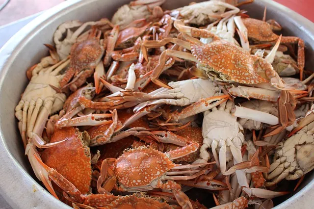 Can uncooked crabs be frozen?