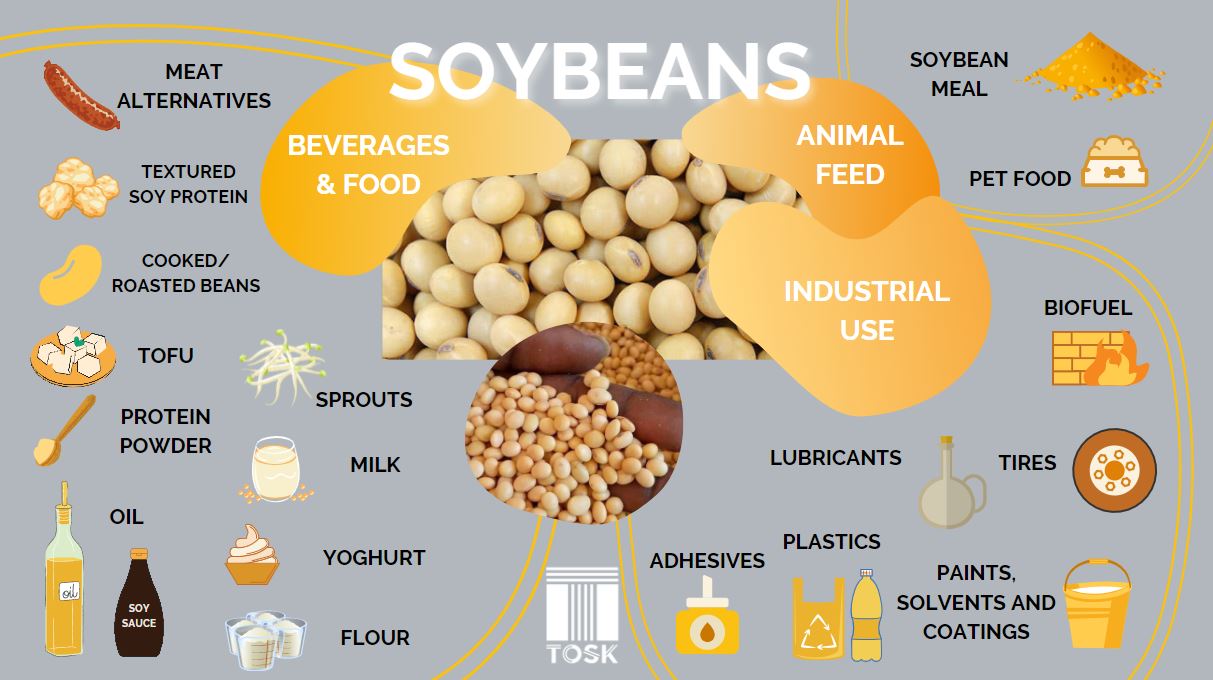 Can we eat soybean in dinner?