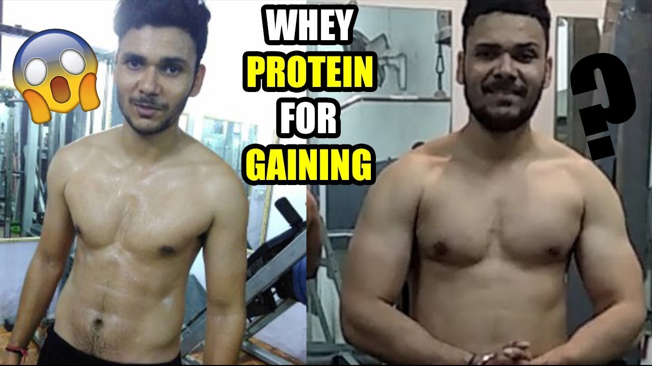 Can whey protein make you gain weight?