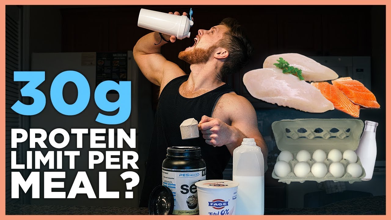 Can you absorb more than 30 grams of protein?