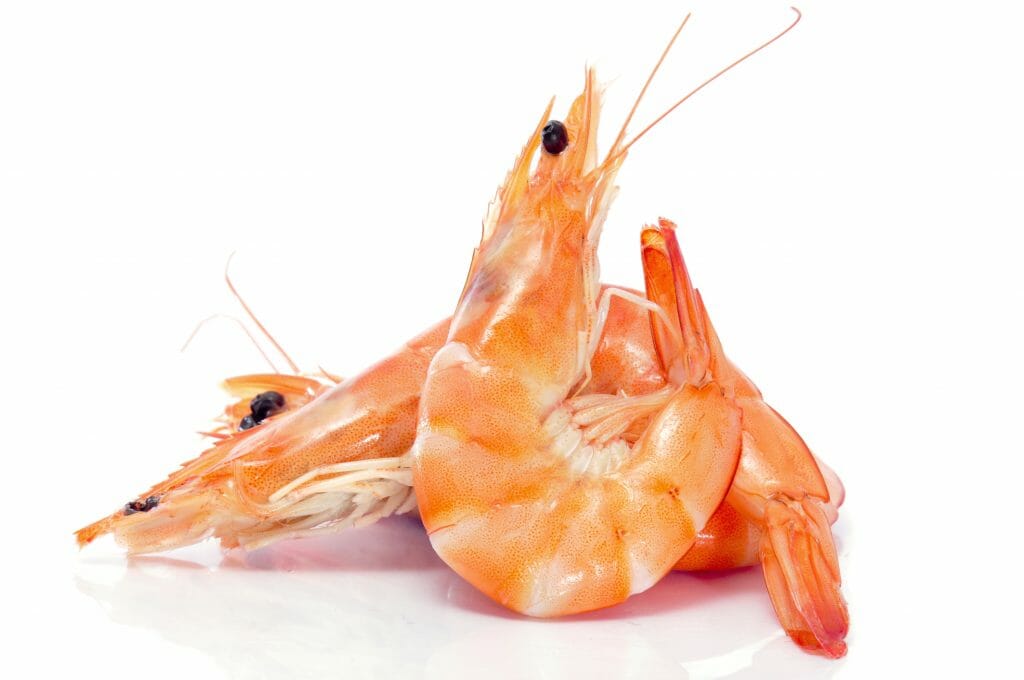 Can you all of a sudden become allergic to shrimp?