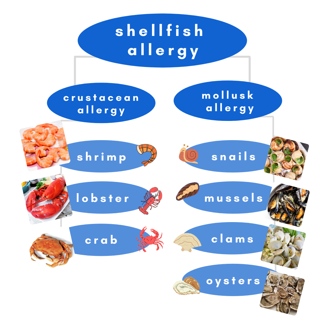 Can you be allergic to scallops but not other shellfish?