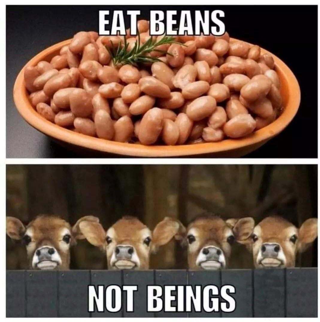 Can you be vegan and not eat beans?