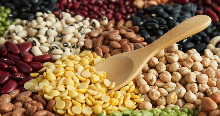 Can you be vegan if you are allergic to legumes?