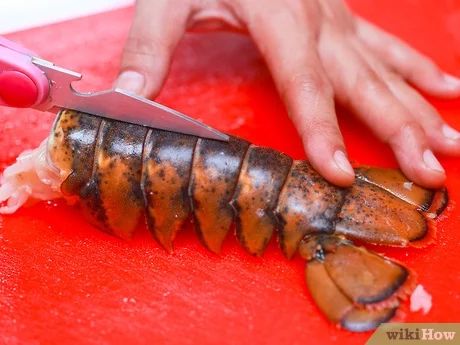 Can you boil lobsters frozen?