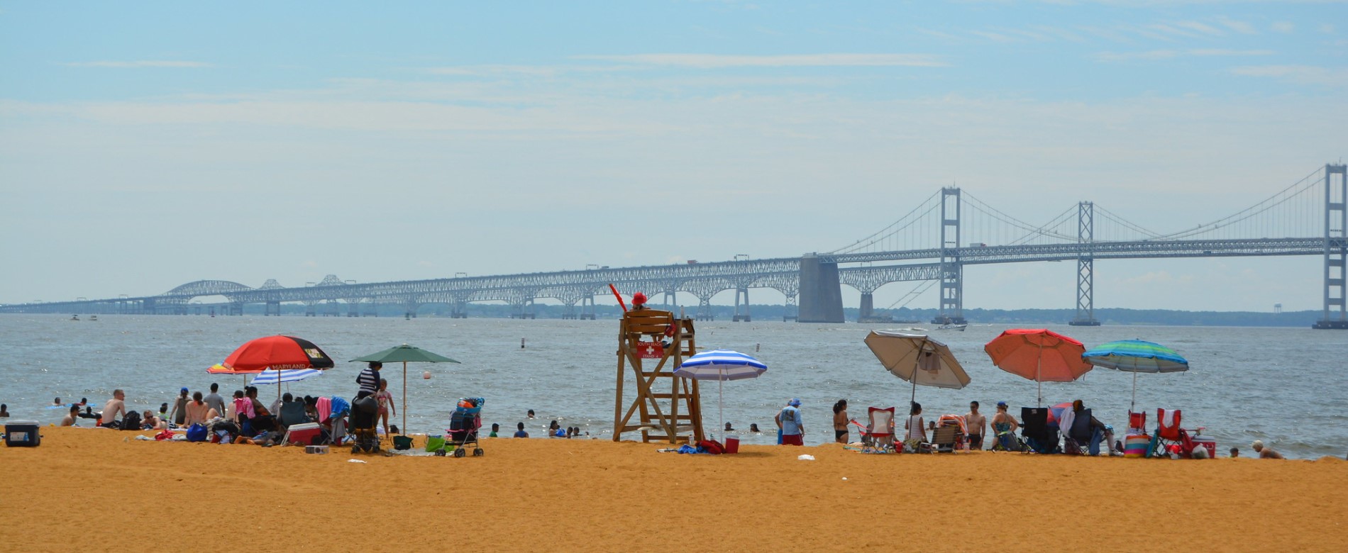 Can you bring dogs to Sandy Point State Park?