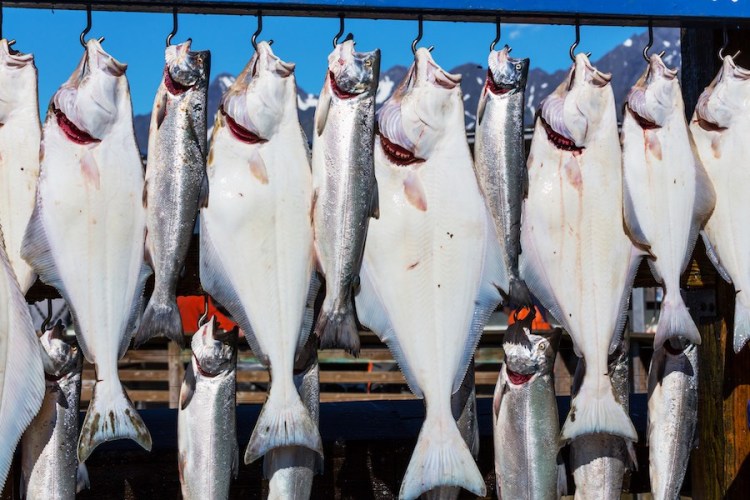 Can you bring fish from Alaska to Canada?