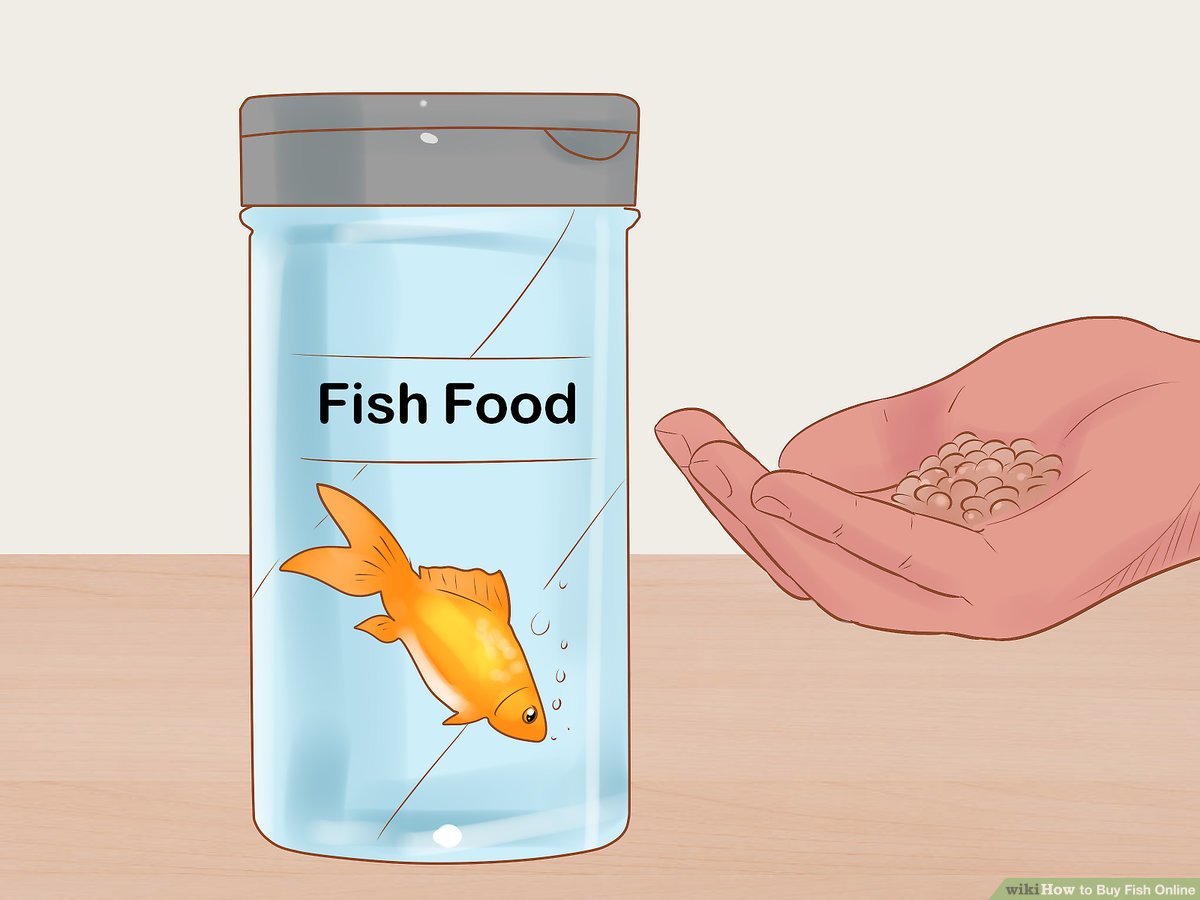 Can you buy fish online in us?