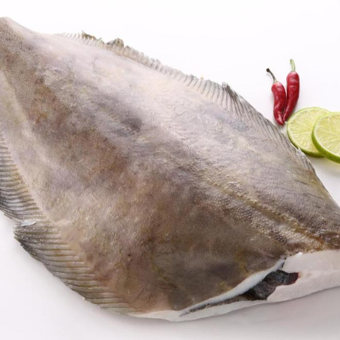 Can you buy frozen halibut?
