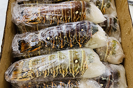 Can you buy frozen lobster tails?