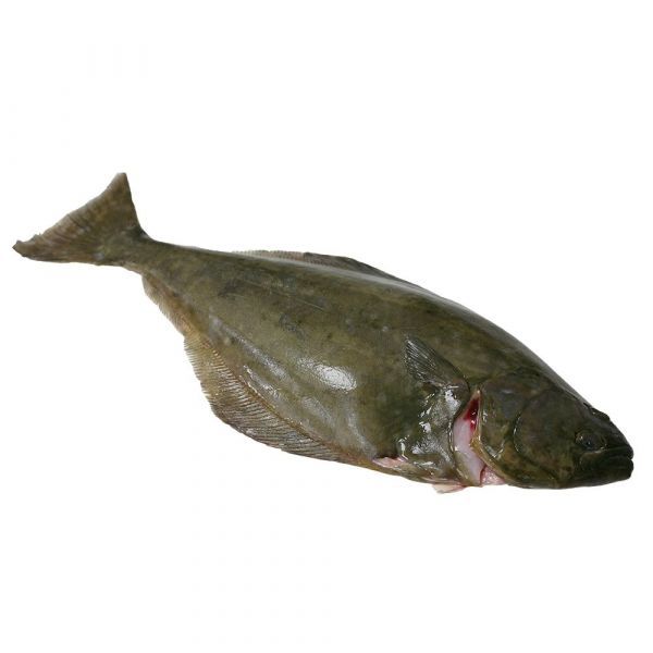 Can you buy halibut in the UK?