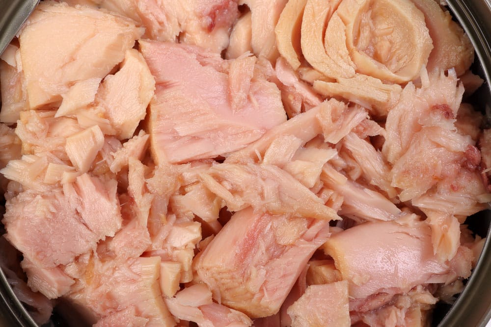 Can you can tuna without a pressure cooker?