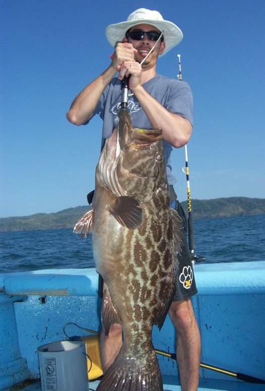 Can you catch and release grouper?