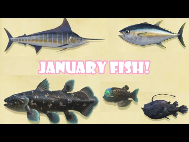 Can you catch fish in January?