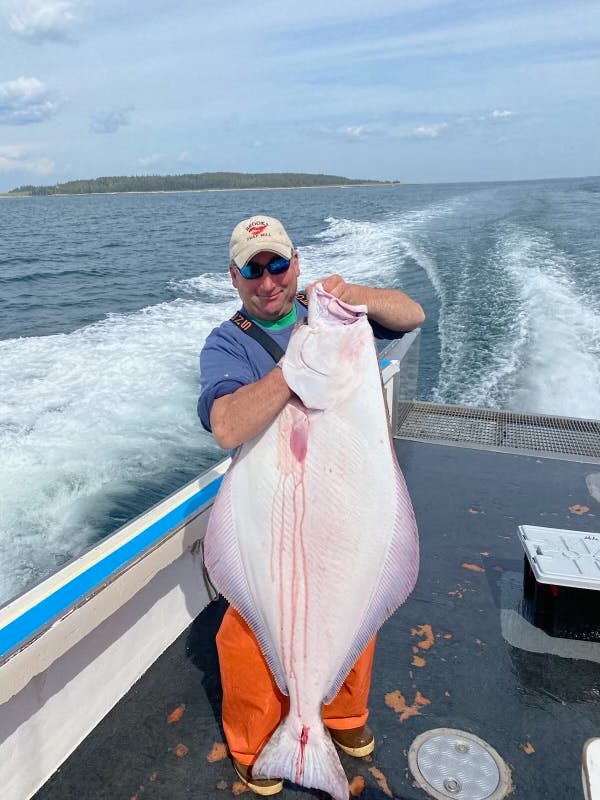 Can you catch halibut in Maine?