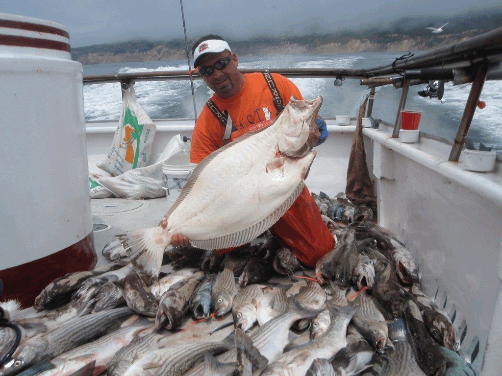 Can you catch halibut in the bay?