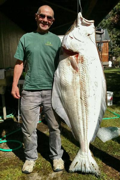 Can you catch halibut in the Columbia River?