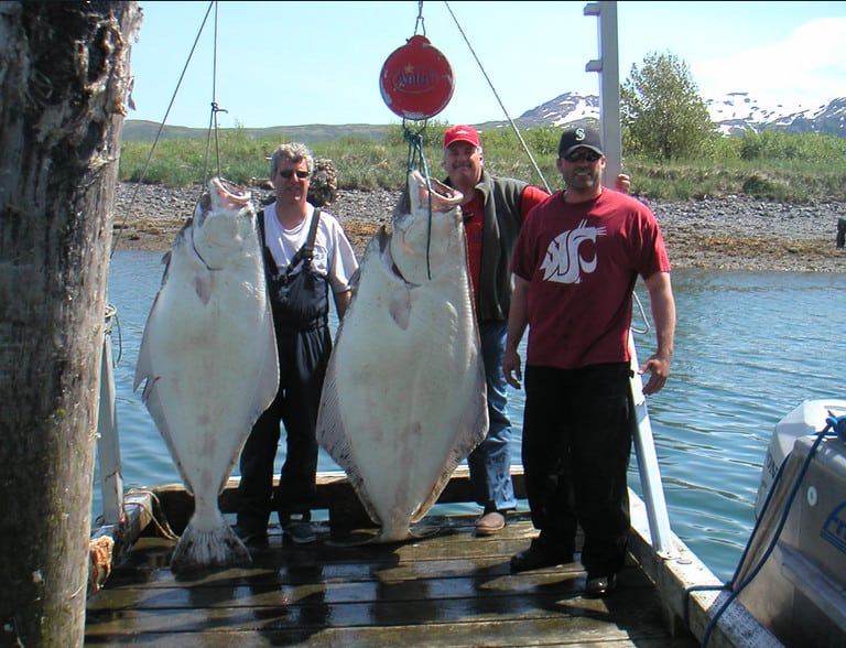 Can you catch halibut in the winter in Alaska?