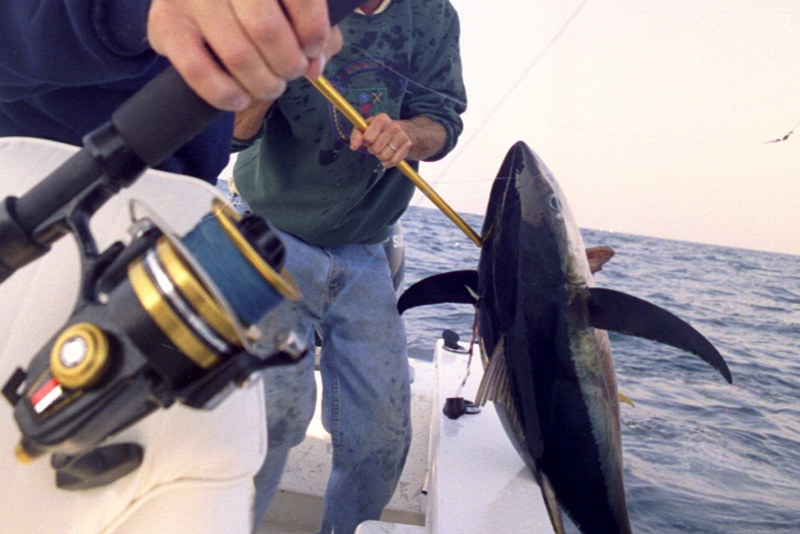 Can you catch large fish on a spinning reel?