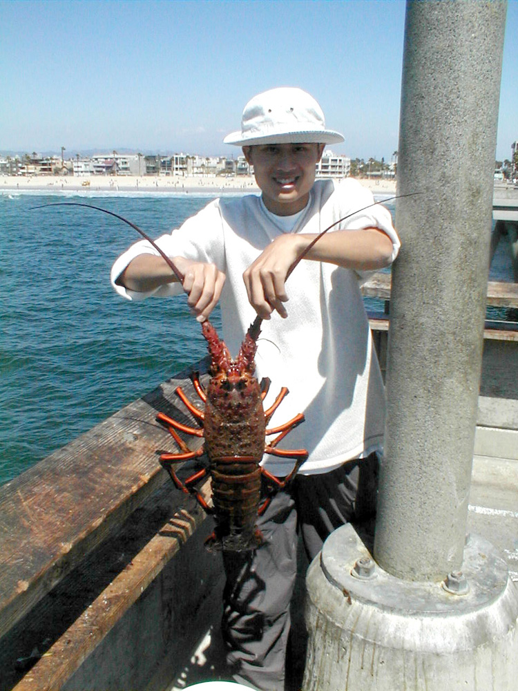 Can you catch lobster in California?