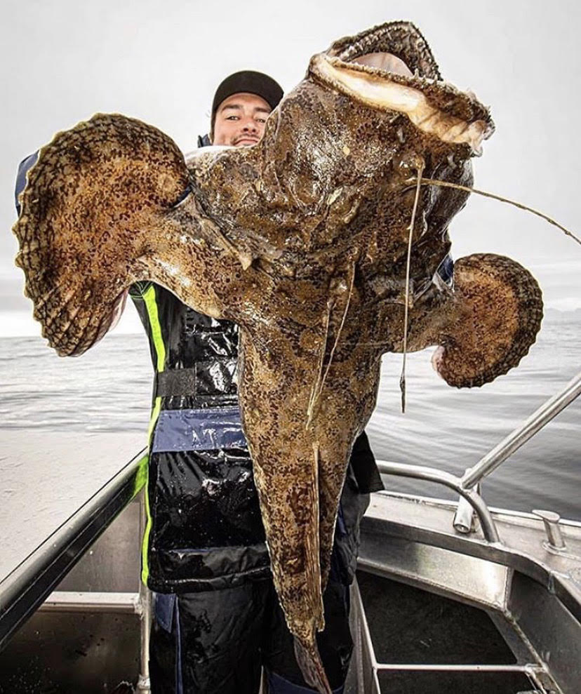 Can you catch monkfish in Florida?