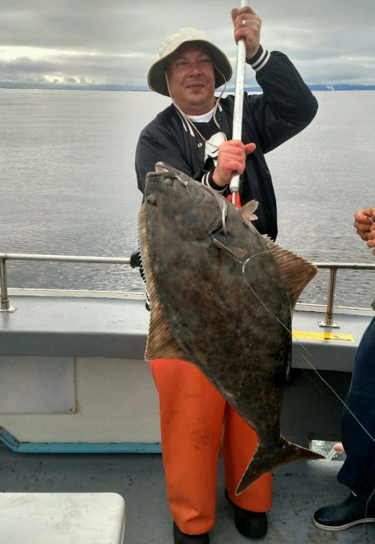 Can you catch Pacific halibut in California?
