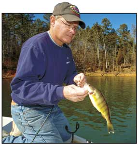 Can you catch perch in SC?