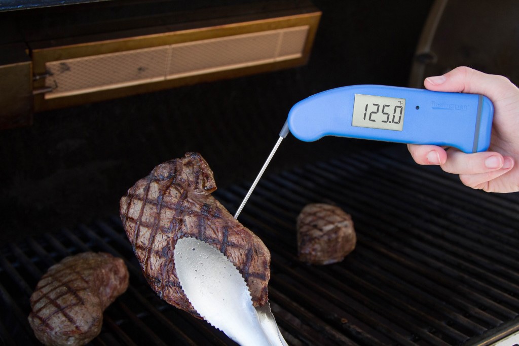 Can you check meat temperature with a regular thermometer?