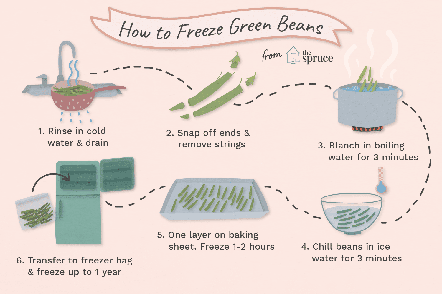 Can you cook green beans and then freeze them?
