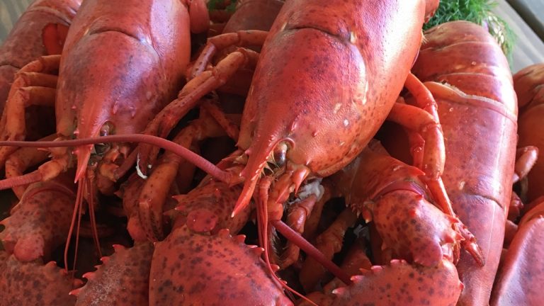 Can you cook lobster in advance?