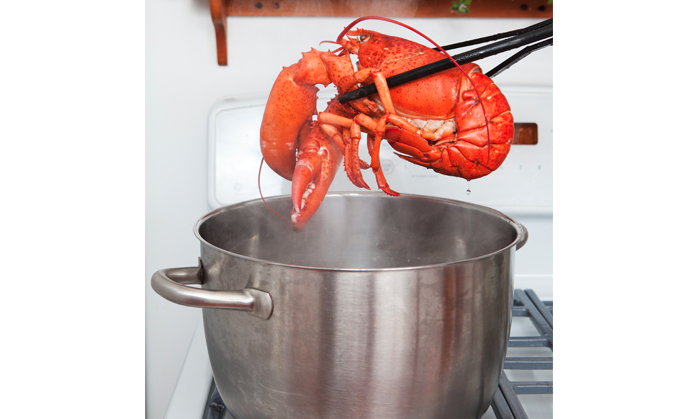 Can you cook lobster in an aluminum pot?