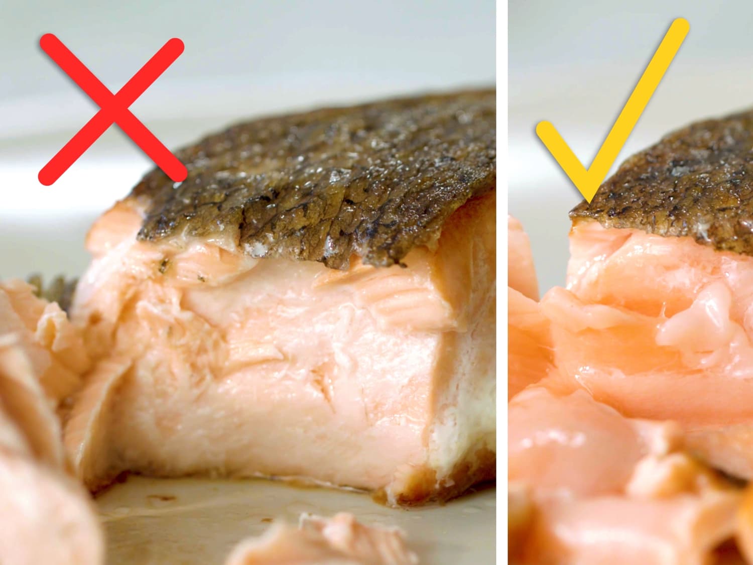 Can you cook old salmon?