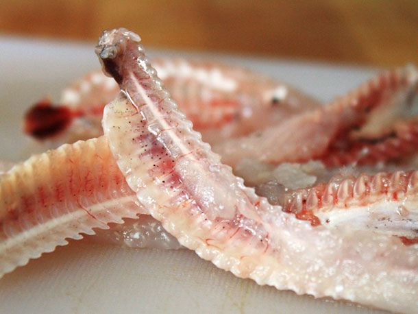 Can you cook out fish bones?