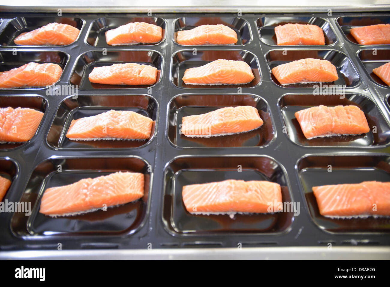Can you cook salmon in the packaging?