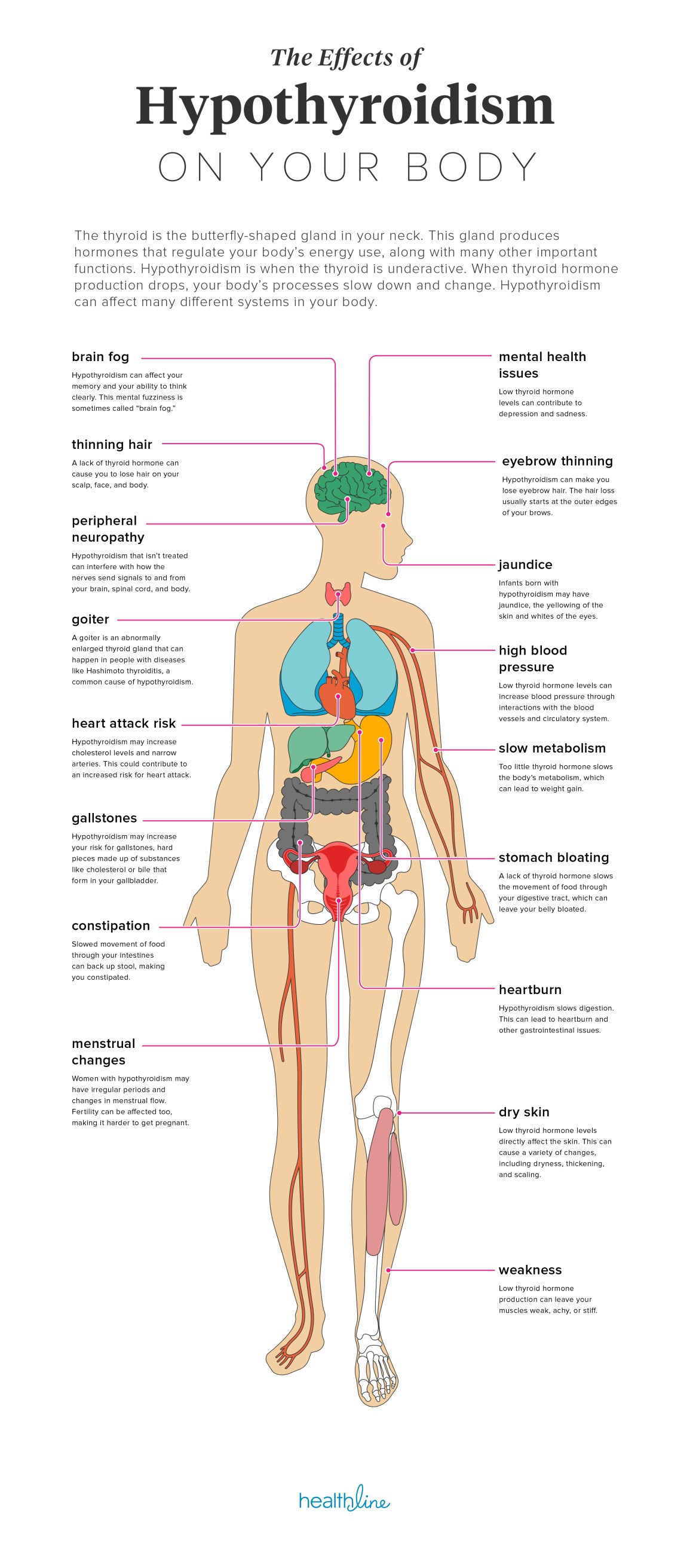 Can you damage your thyroid gland?