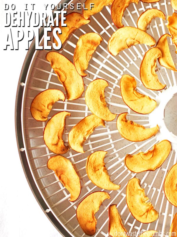 Can you dehydrate apple slices?