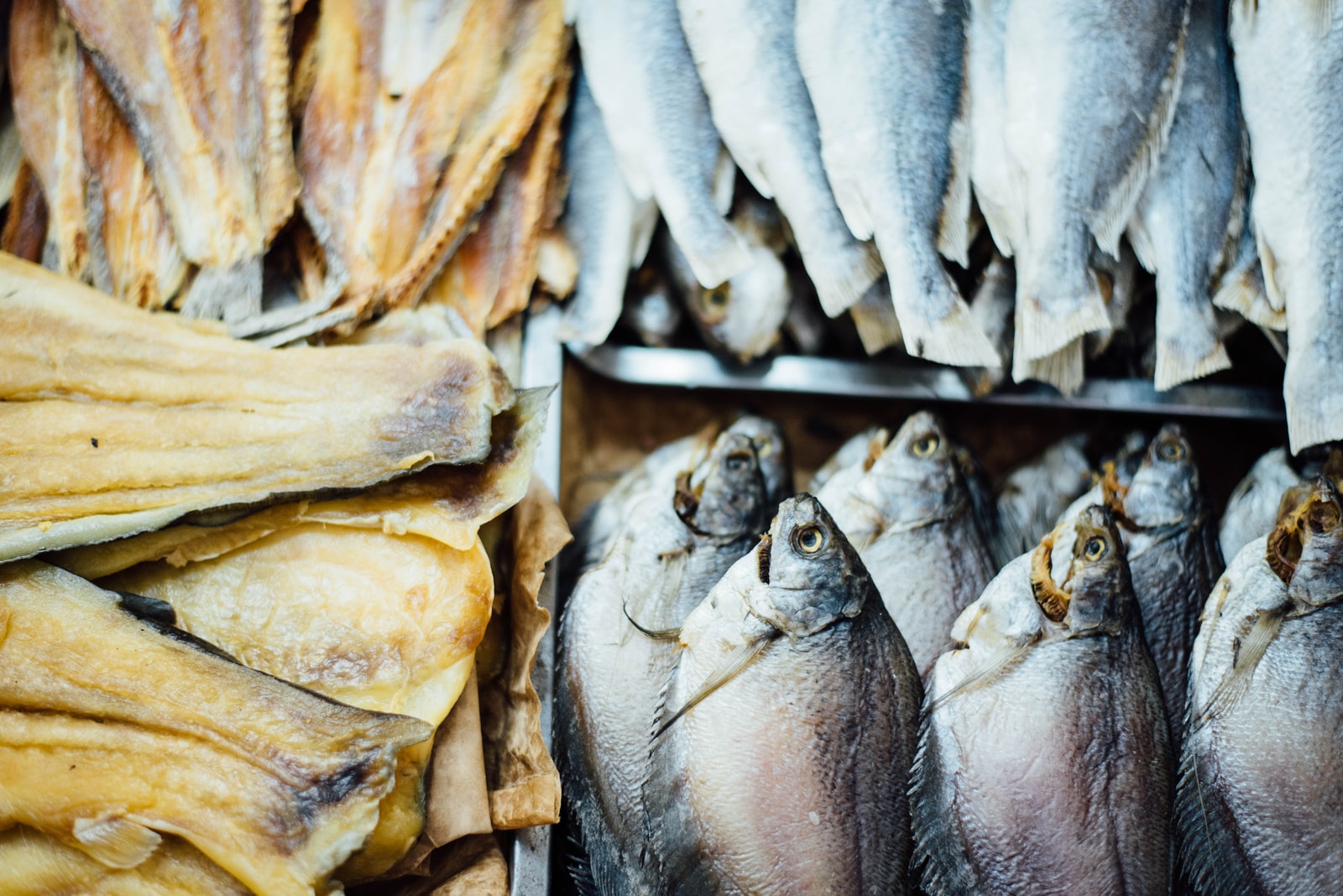 Can you dehydrate fresh fish?