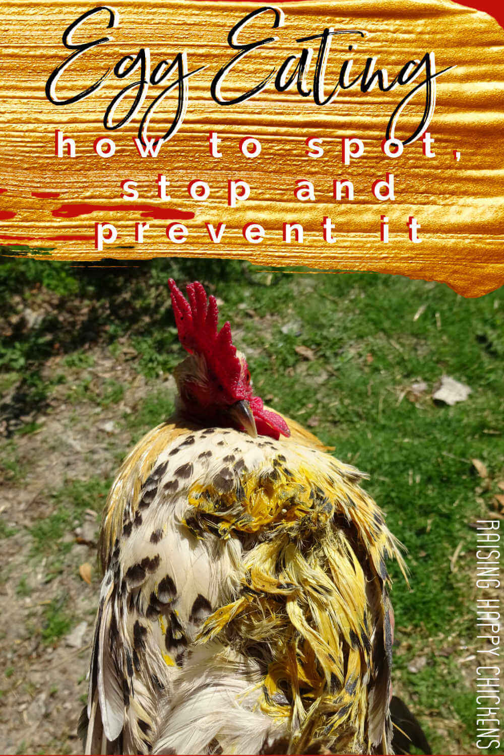 Can you develop an aversion to chicken?