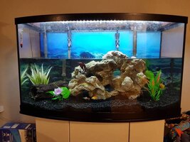 Can you do water change twice a week?