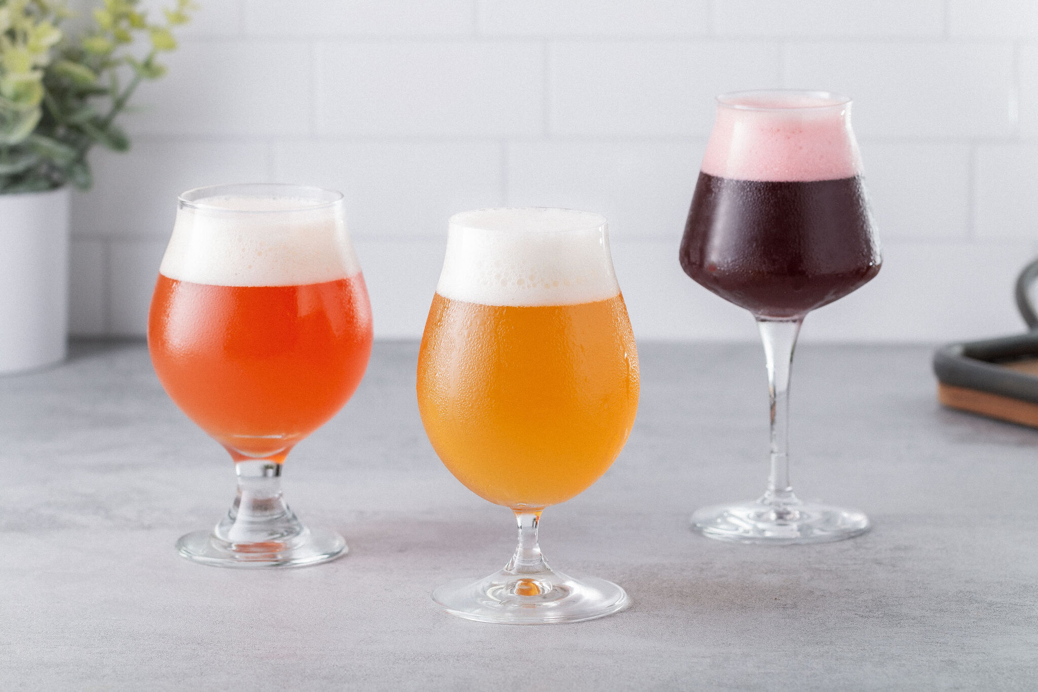 Can you drink sour beer?