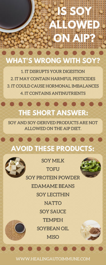 Can you drink soy milk on AIP diet?