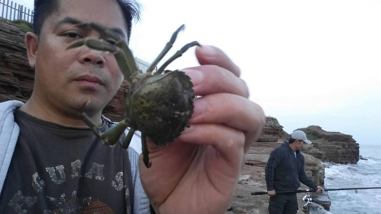 Can you eat a crab alive?