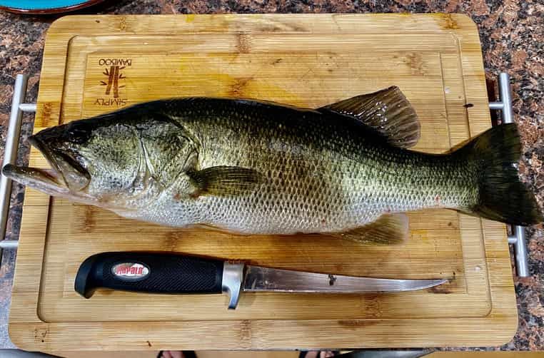 Can you eat a largemouth bass?